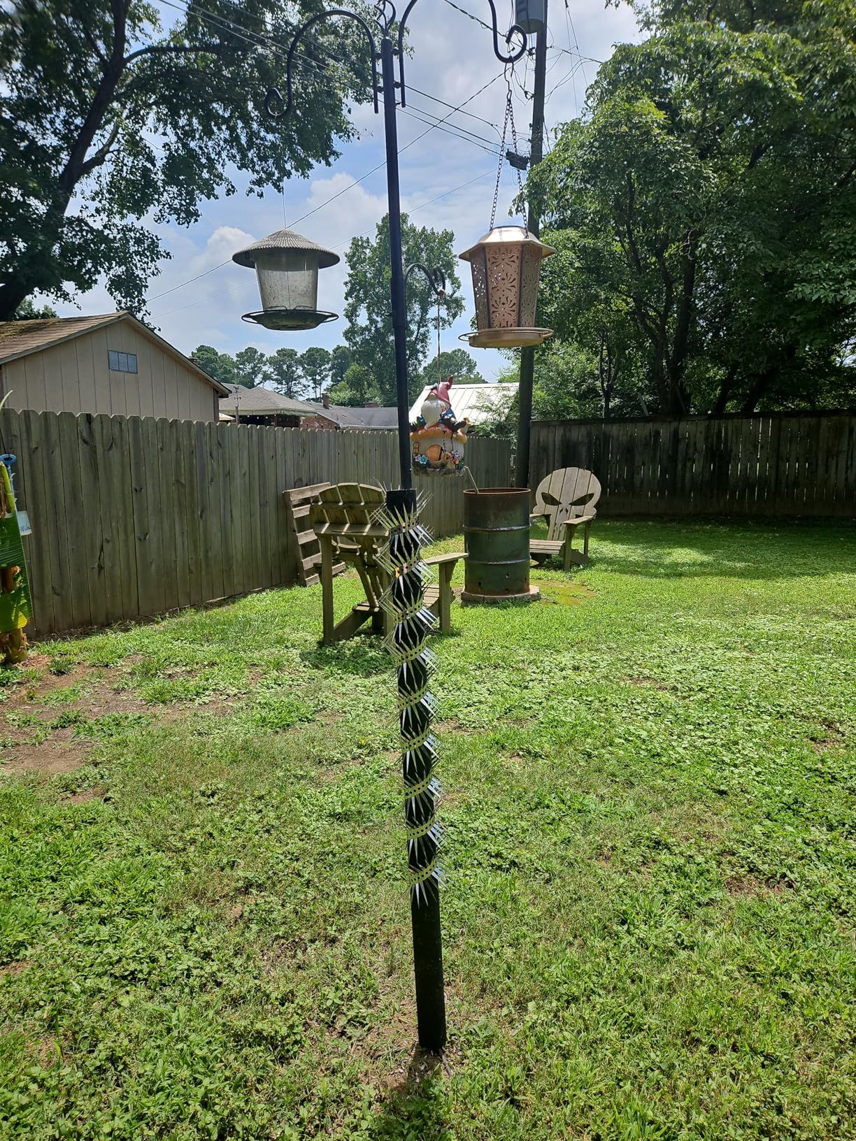 How to Keep Raccoons Away From Bird Feeders Without Losing Your Sanity ...