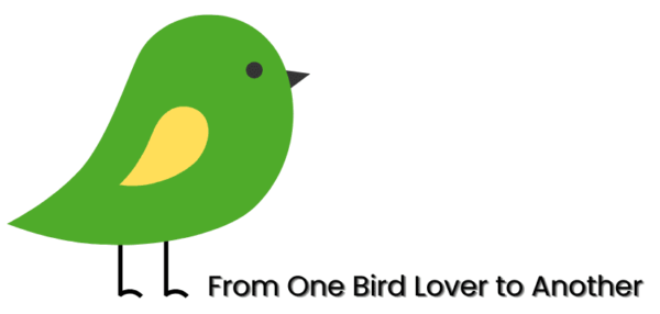 Guide to Feeding Birds in Winter: My Feathered Adventure